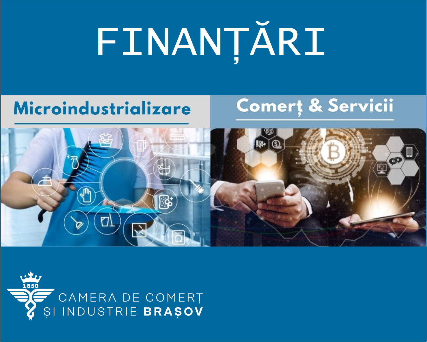 PROGRAME DE FINANȚARE MULTIANUALE - MICROINDUSTRIALIZARE ȘI COMERȚ ...