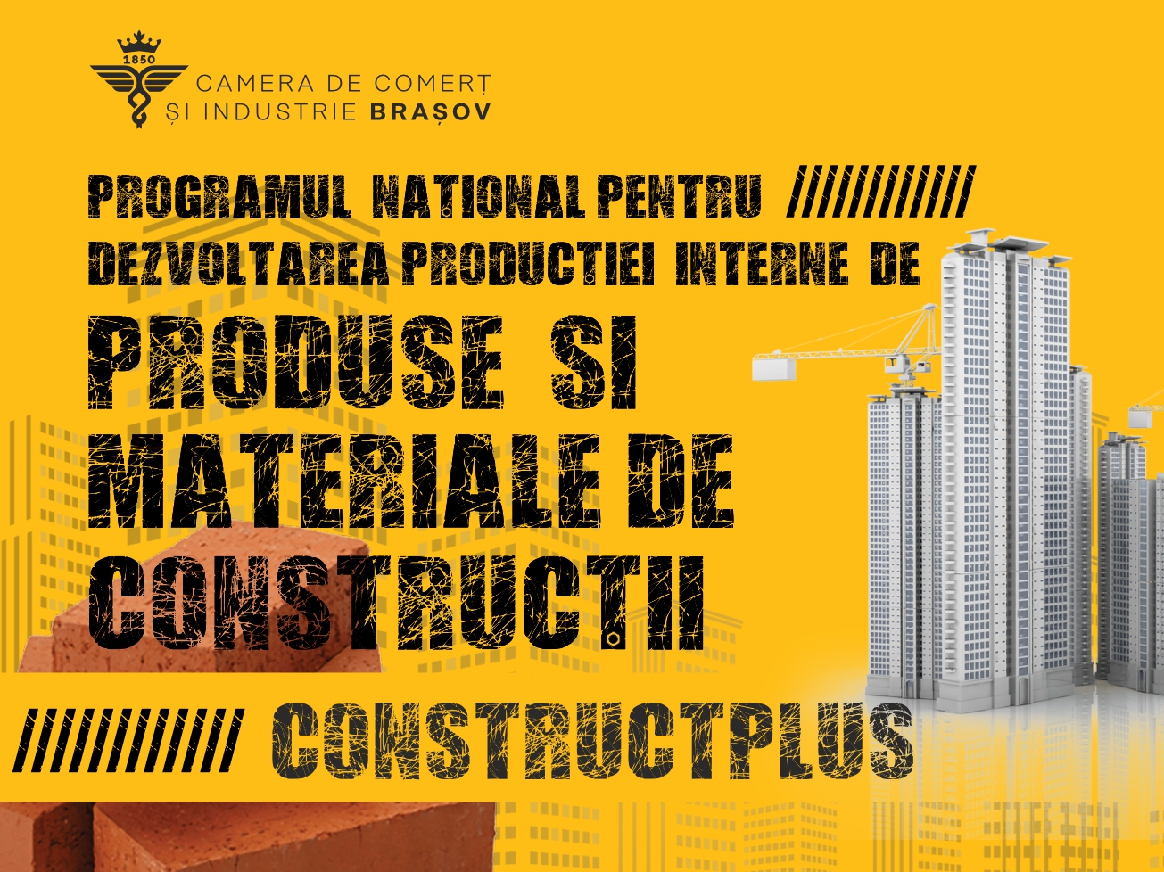 PROGRAMUL NAȚIONAL PENTRU DEZVOLTAREA PRODUCȚIEI INTERNE DE PRODUSE ȘI ...